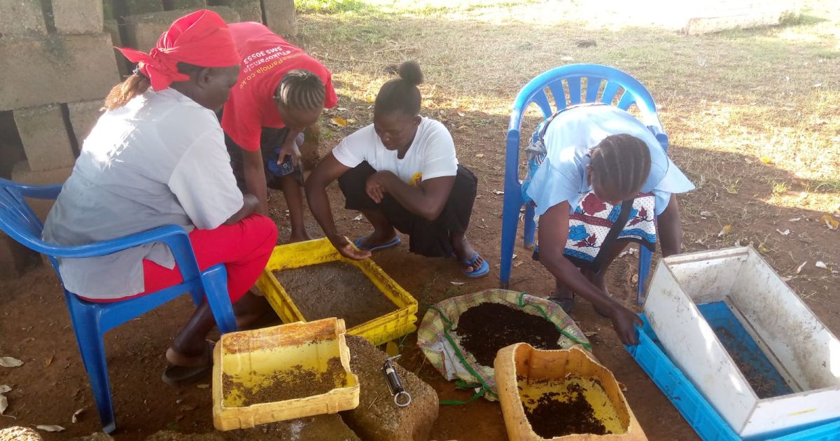 Hydro Victoria Fish Hatchery | The Circular Catalyst